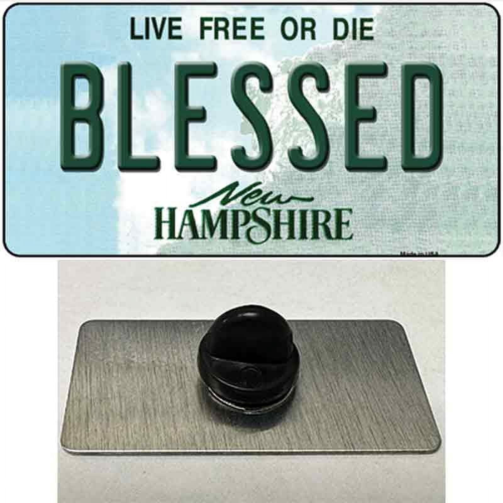Blessed New Hampshire State Novelty Metal Hat Pin 1.5" x 0.75" Hat Pin ...