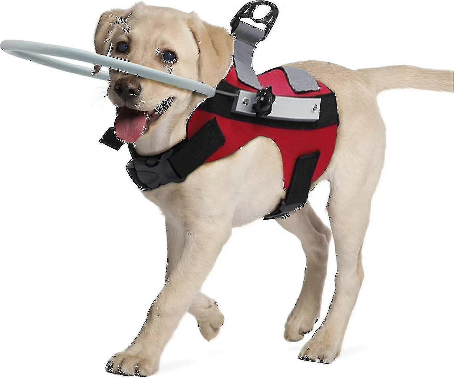 Blind Dog Harness Guiding Device,blind Dog Halo,pet Anti-collision Ring ...