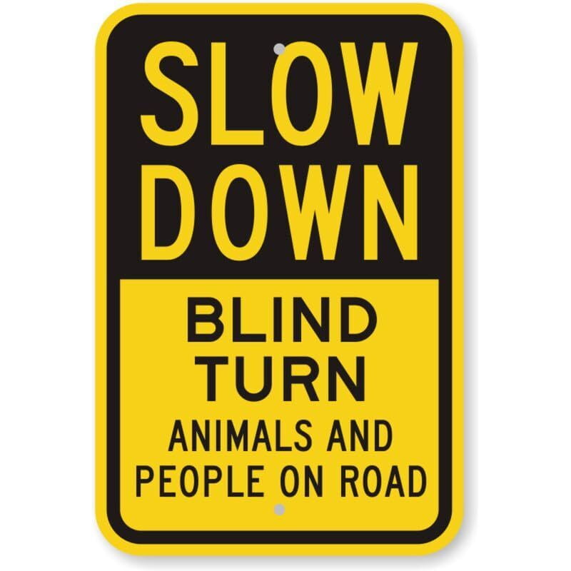 Blind Turn Slow Down Weatherproof Metal Aluminum Sign Size: 8 x 12 Inch ...