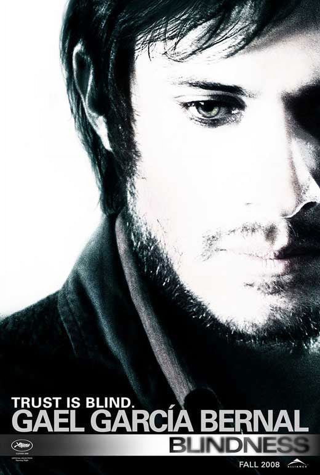 Blindness - movie POSTER (Style E) (11" x 17") (2008) - Walmart.com