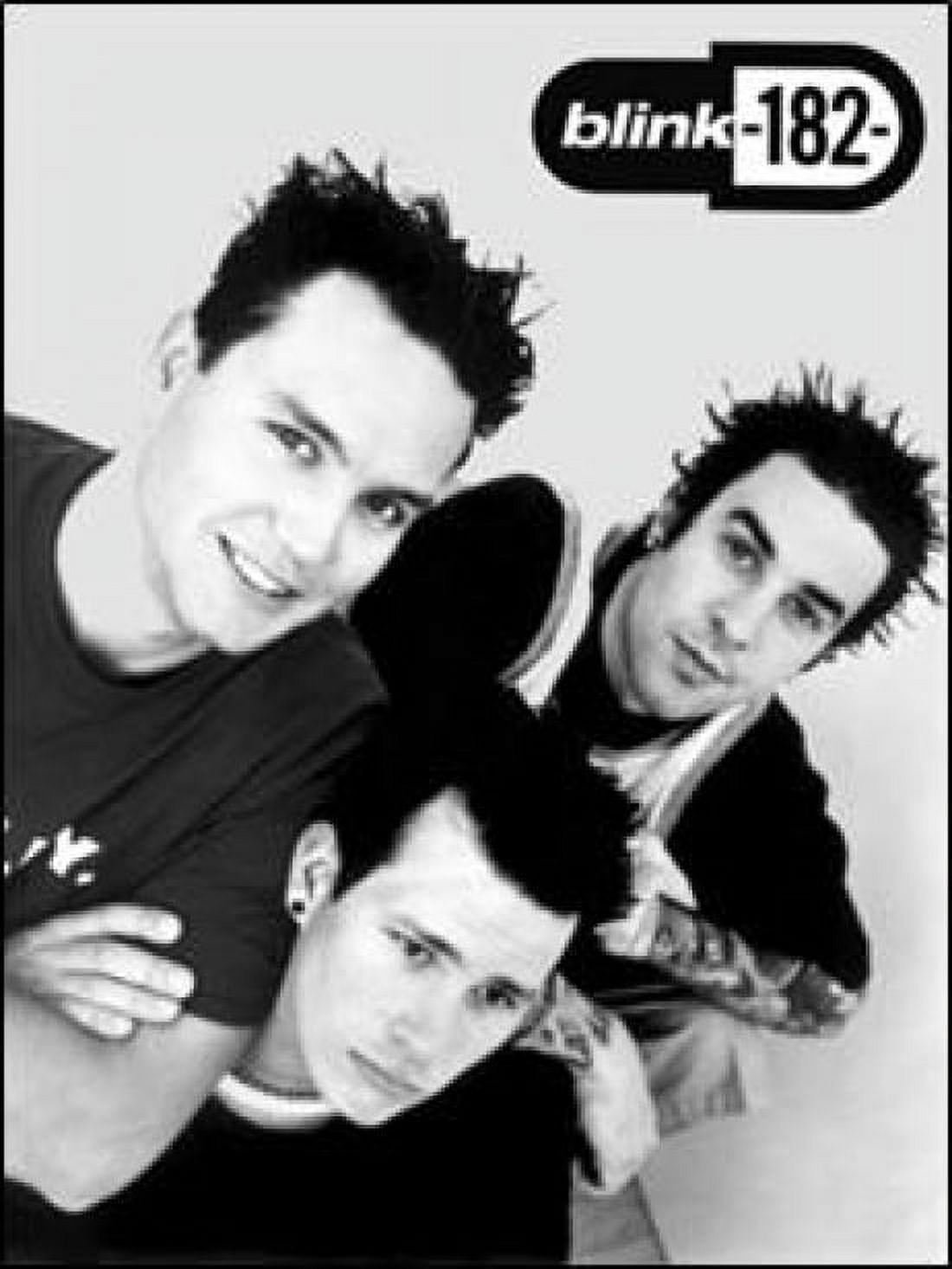 Blink 182 Studio Profile Laminated Poster (24 x 36) - Walmart.com