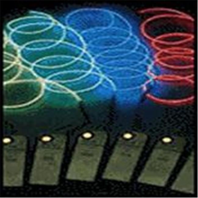 Blinkee 65020 4 ft. Electro Luminescent Wire, Red - Walmart Business ...