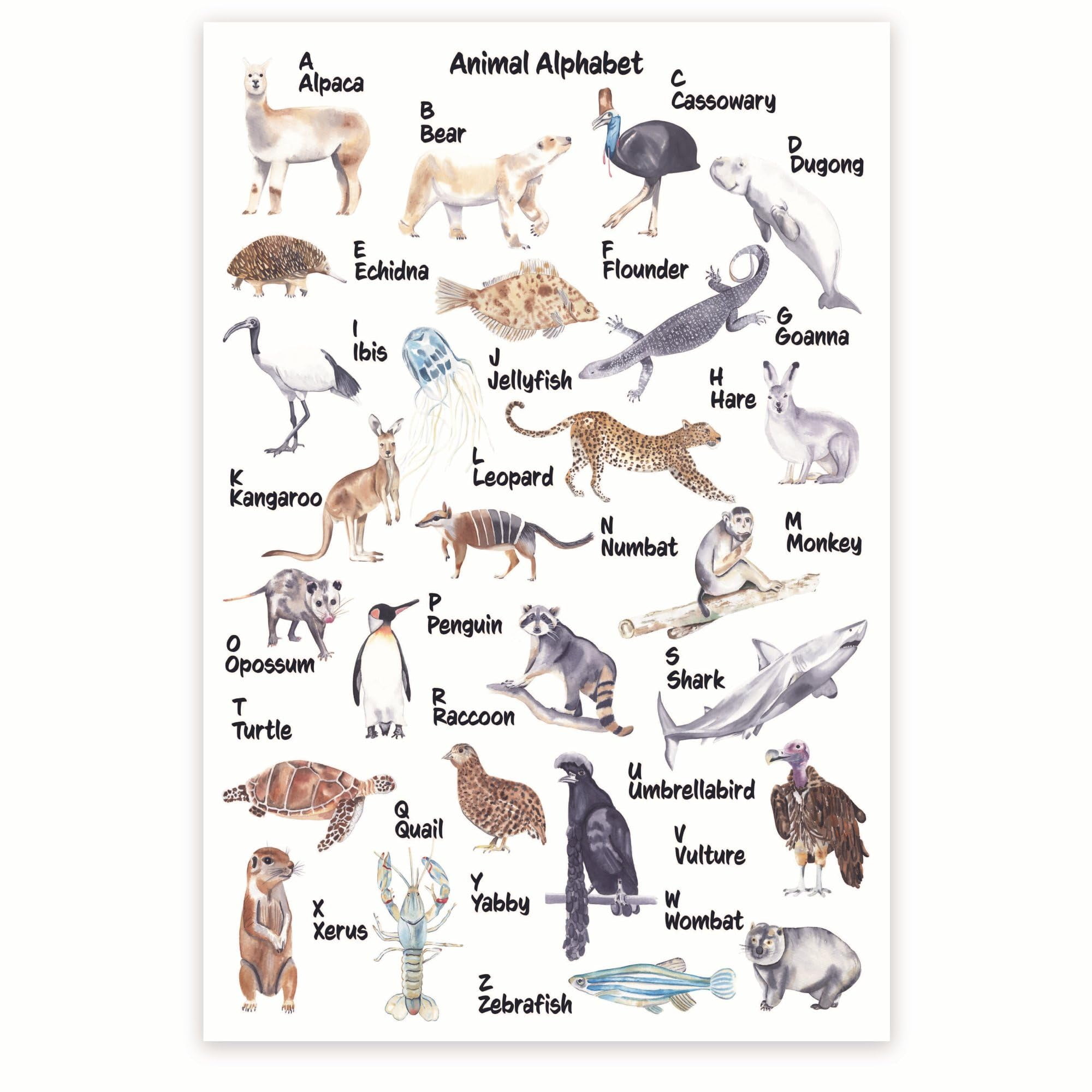Bliss Monkey Co. Animal Alphabet Poster - Animal ABCs - Wildlife ...