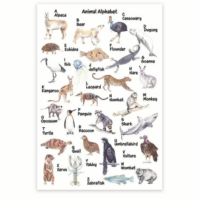Bliss Monkey Co. Animal Alphabet Poster - Animal ABCs - Wildlife ...