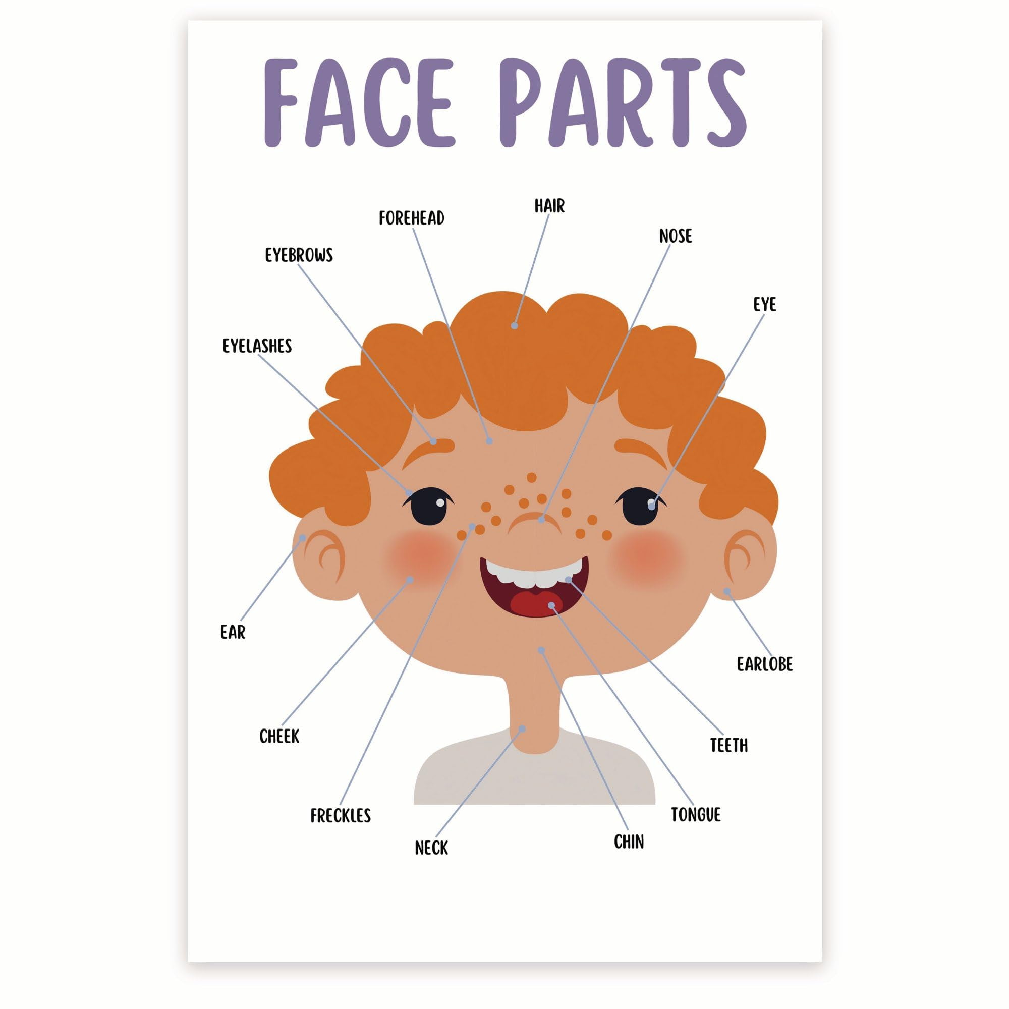 Bliss Monkey Co. Face Parts for Kids Poster - Face Anatomy - Facial ...