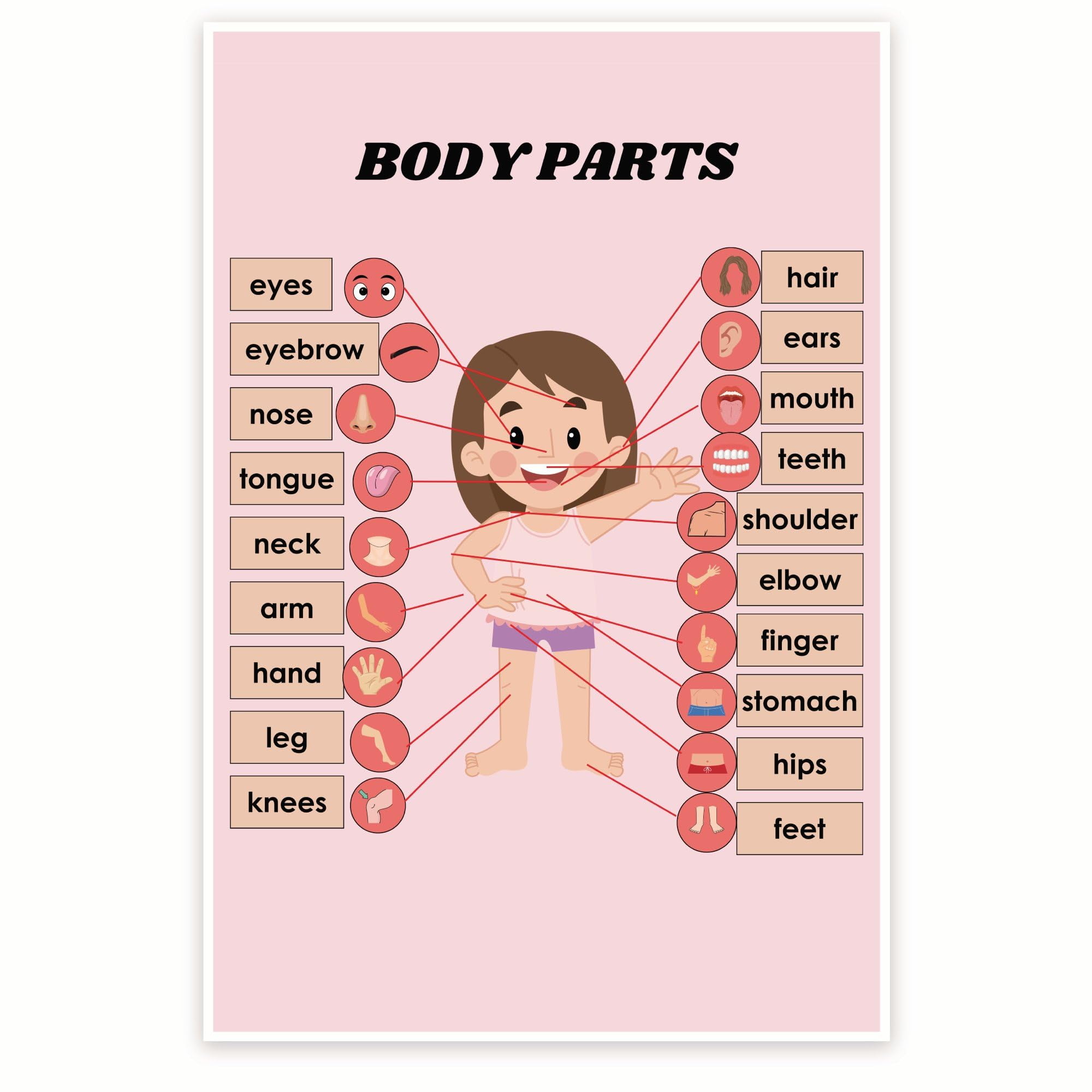 Bliss Monkey Co. Girls Body Parts Poster - Anatomy Chart For Girls ...