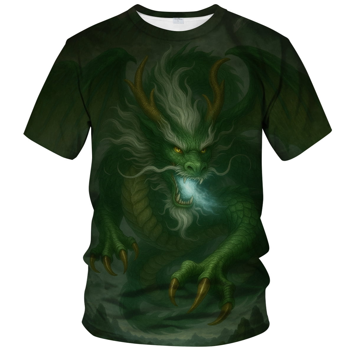 Blissboy Men's Chinese Dragon Graphic T-Shirt Anime Mythical Beast Tee ...