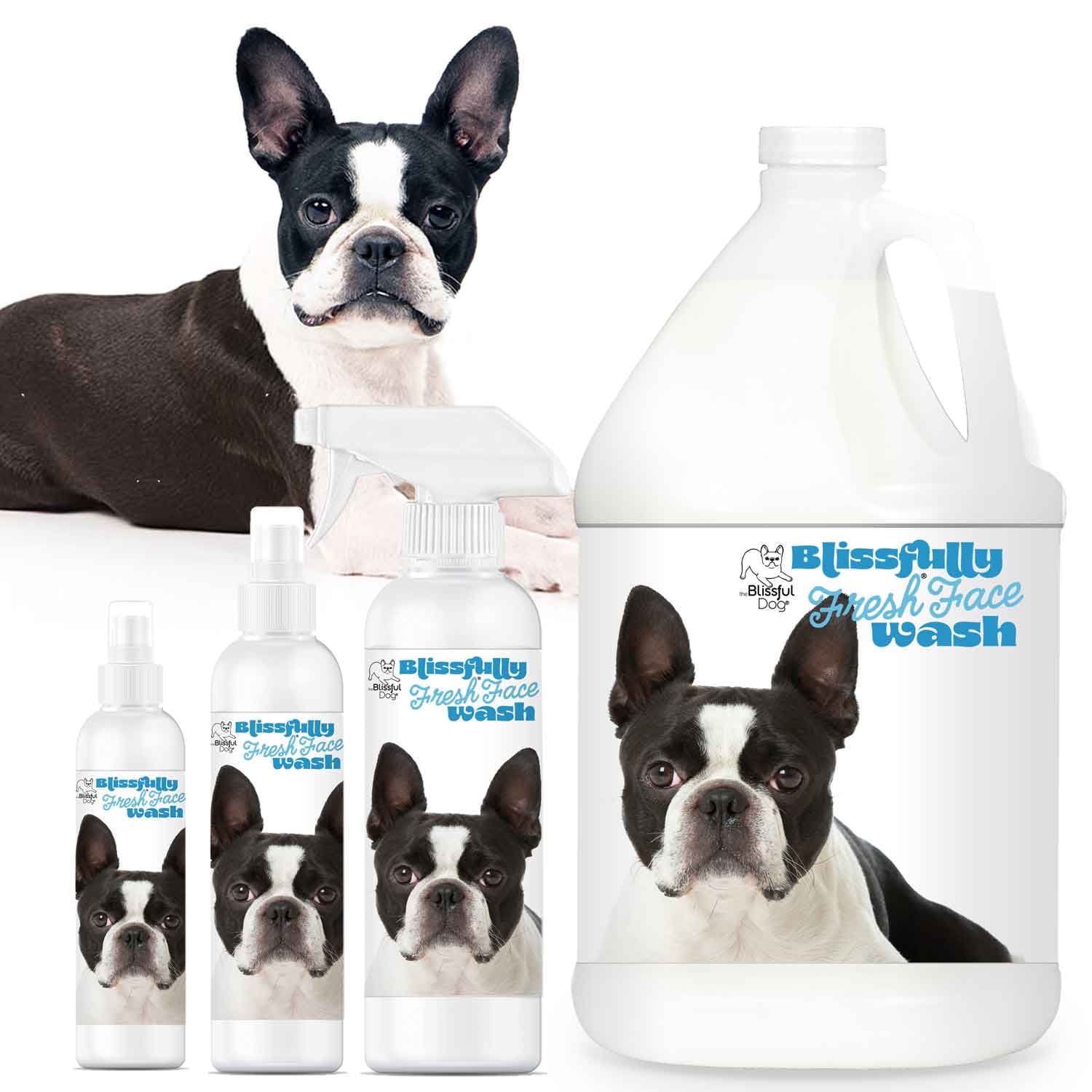 The Blissful Dog Boston Terrier Blissfully Fresh Face Wash for Cleaning ...