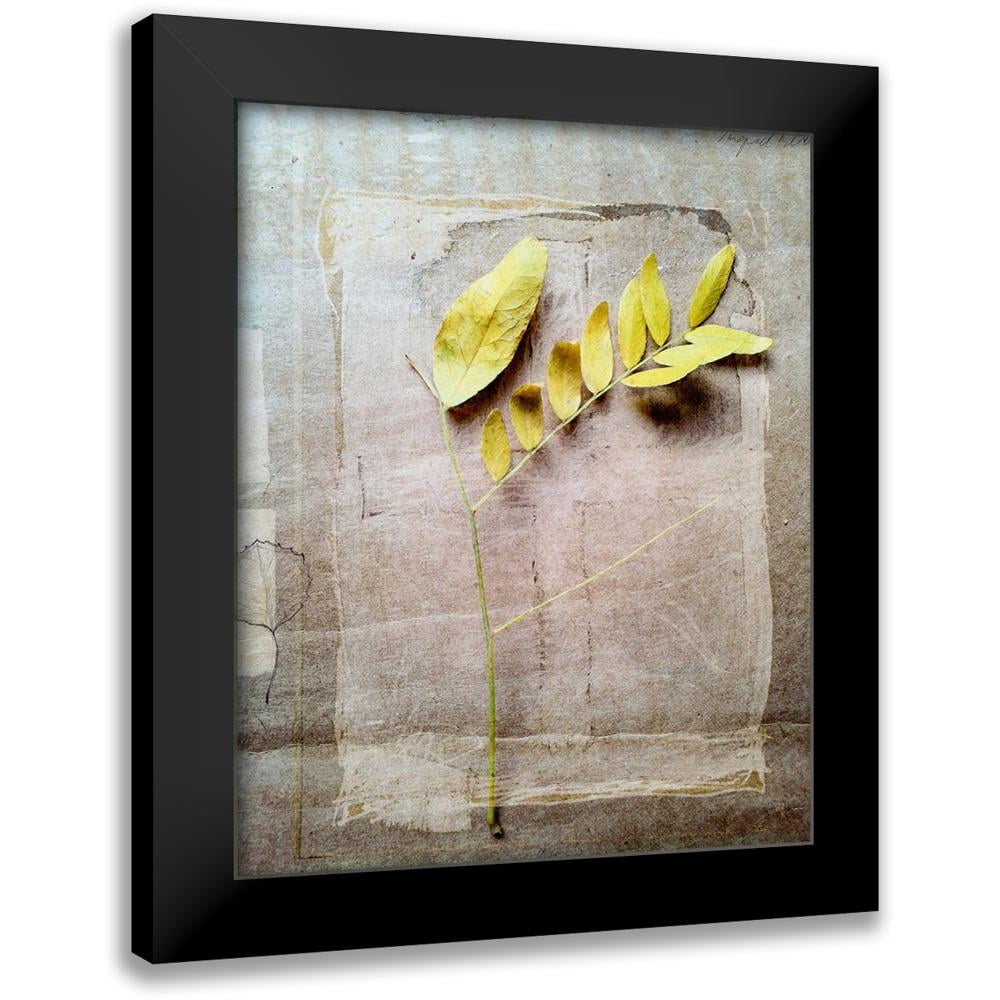 Blixt, Ingrid 12x14 Black Modern Framed Museum Art Print Titled - Herbarium V - Walmart.com