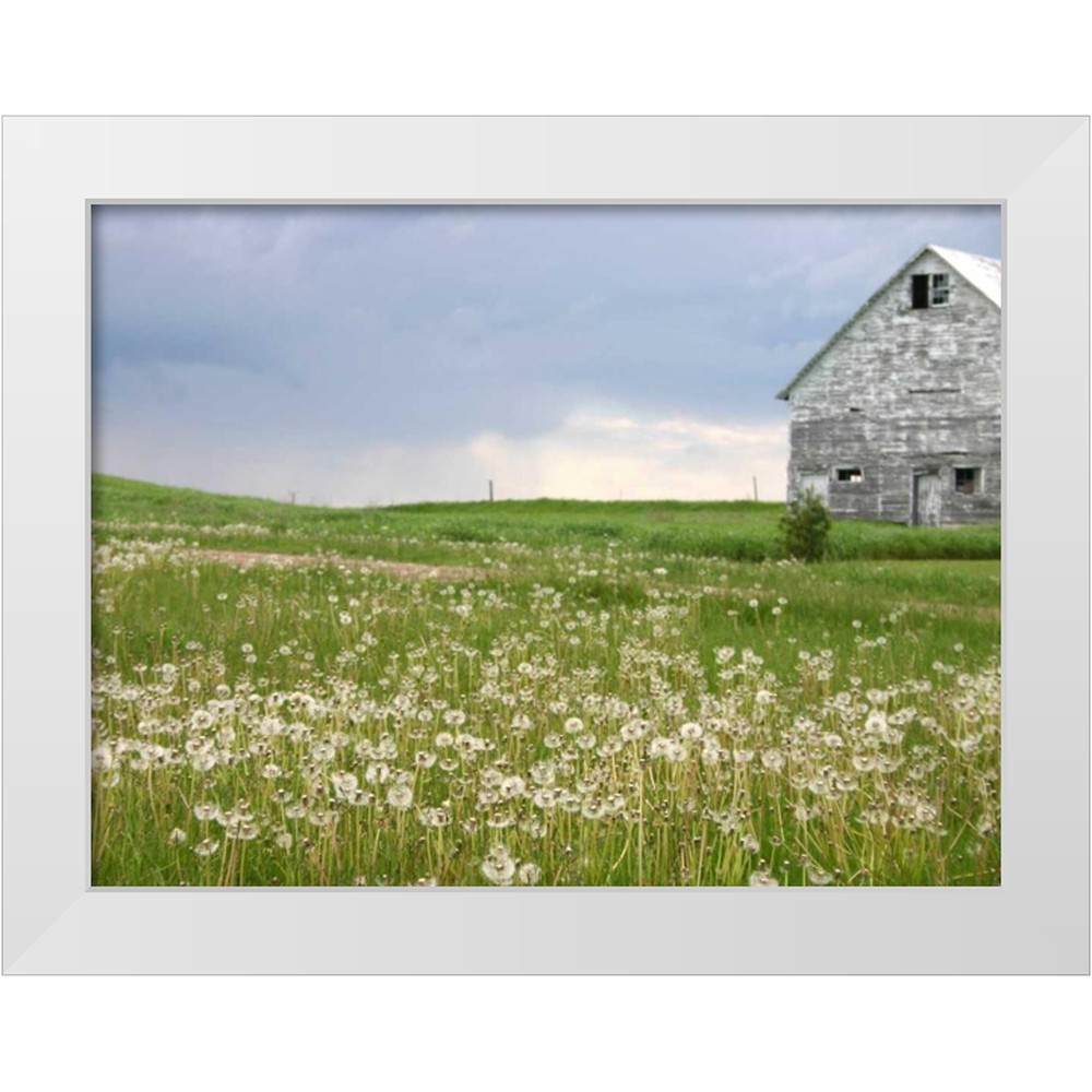 Blixt, Ingrid 14x12 White Modern Wood Framed Museum Art Print Titled ...