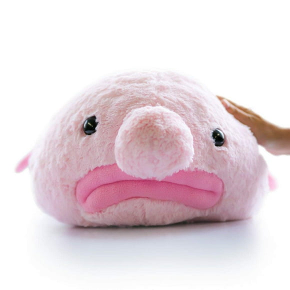 Pink Blobfish