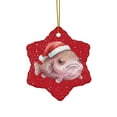 Blobfish Nautical Ceramic Ornament, Ocean Lover Holiday Tree Decor ...