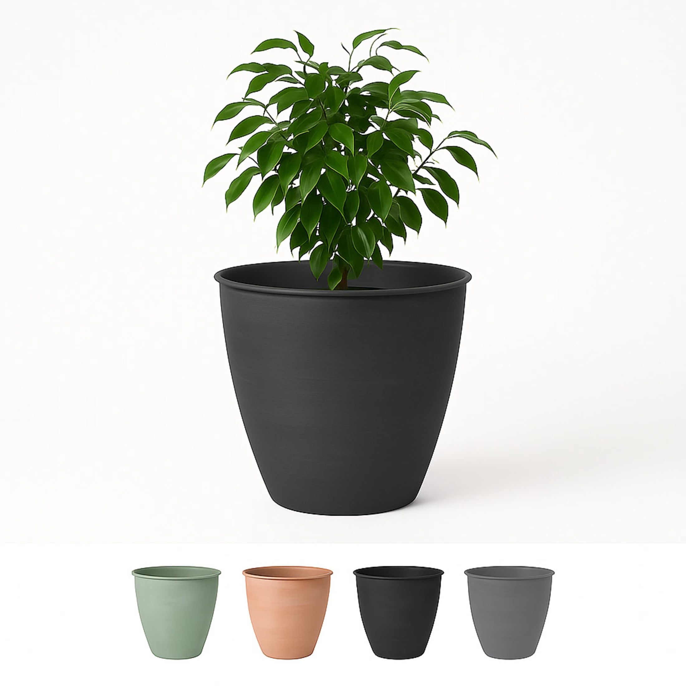 Bloem Arbor 12" Indoor Metal Cachepot - Decorative Planter with Powder ...