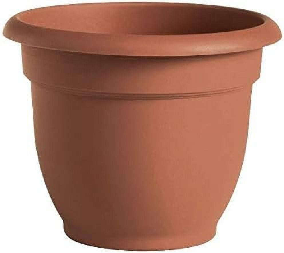 Bloem Ariana 12-inch Planter with Self Watering Grid Chocolate ...