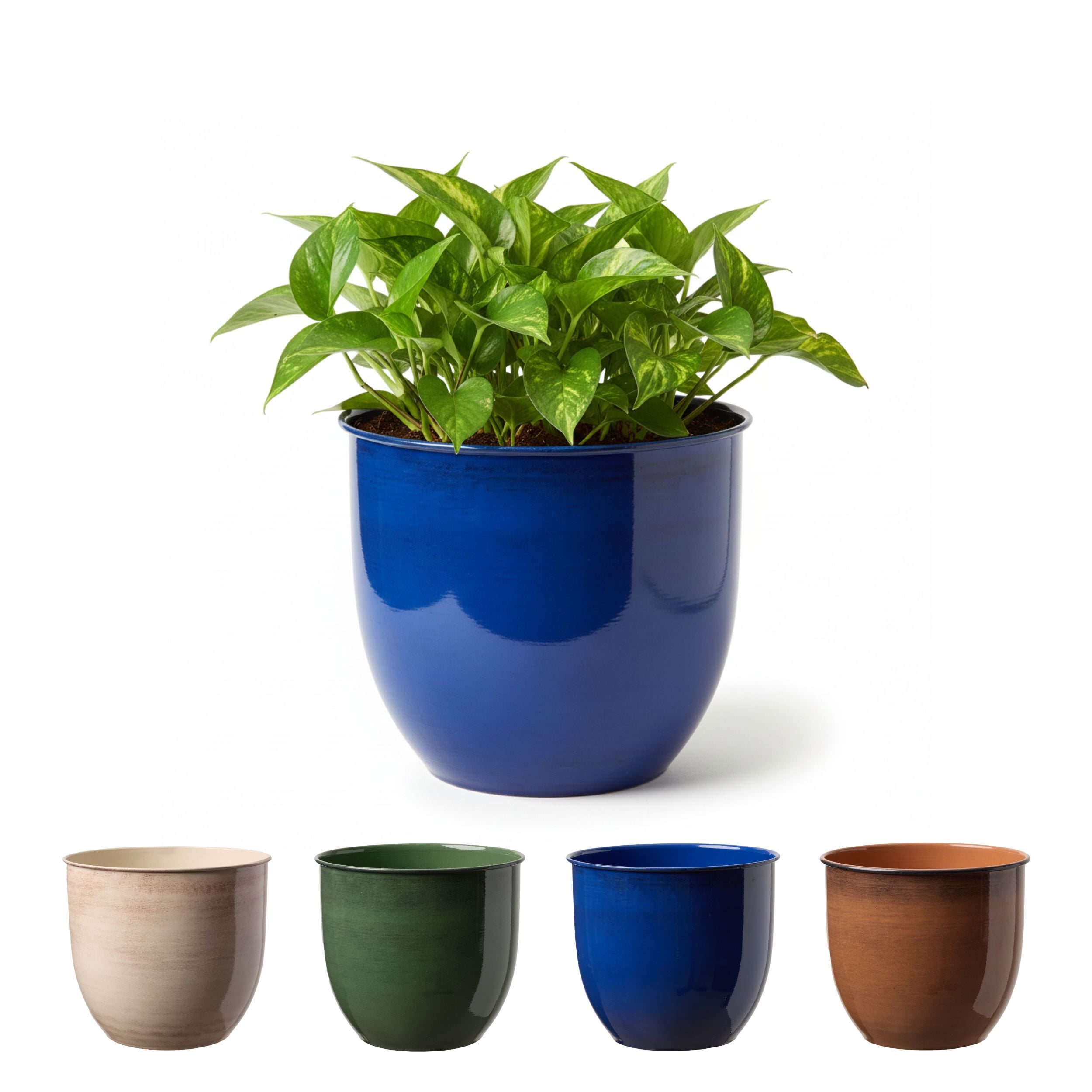 Bloem Canyon 8"Indoor Metal Cachepot - Glossy Decorative Planter with ...