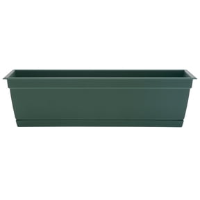 Bloem 24-in Wide Dura Cotta Resin Window Box Planter - Living Green ...