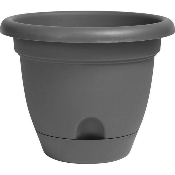 Bloem Lucca Self Watering Planter W/ Saucer 8.75 x 7 Plastic Round ...