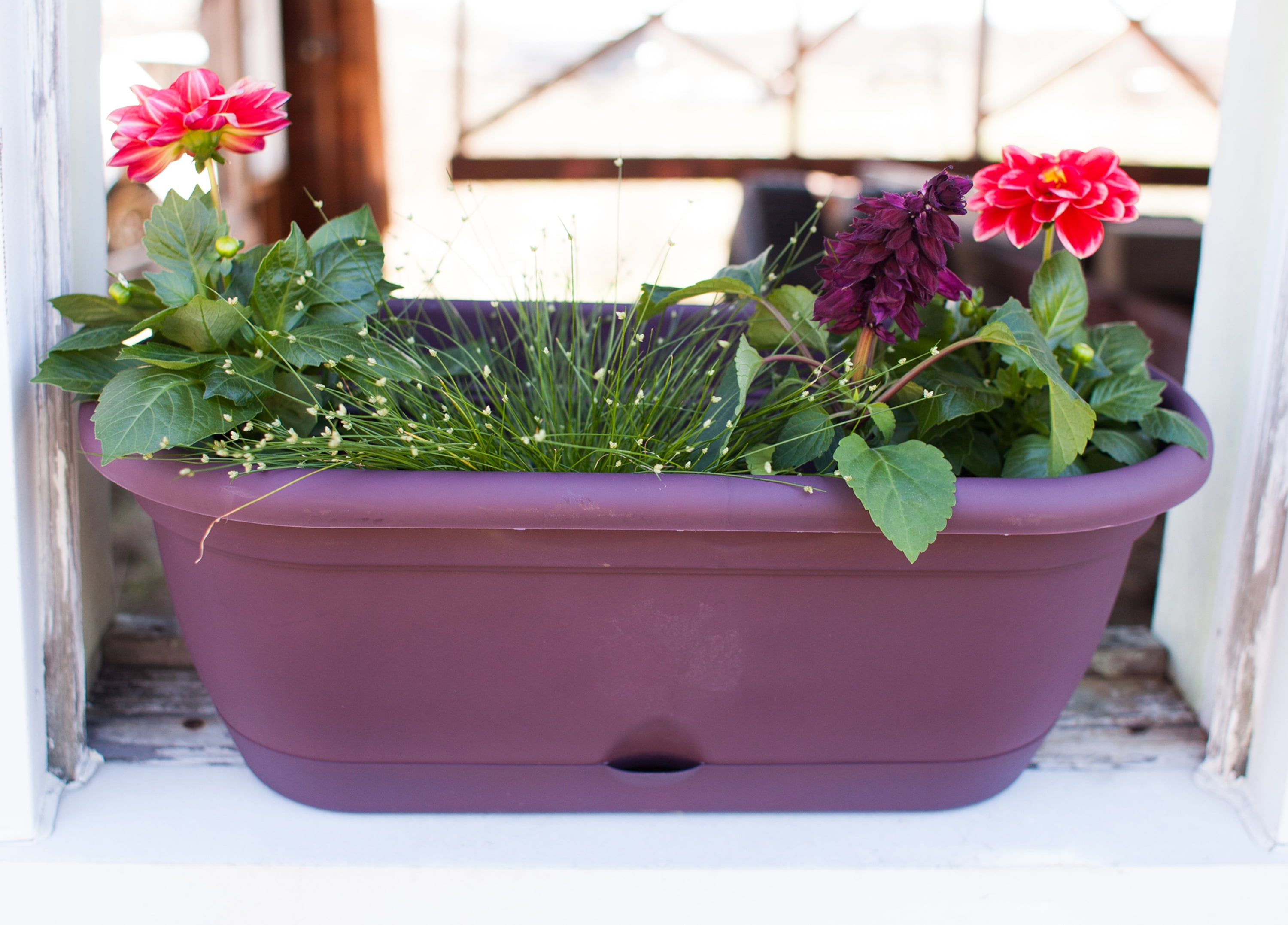 Bloem Lucca Self Watering Window Box 18" Exotica - Walmart.com
