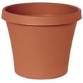 Bloem Terrapot 7 in. H x 8 in. Dia. Resin Traditional Terracotta Clay ...
