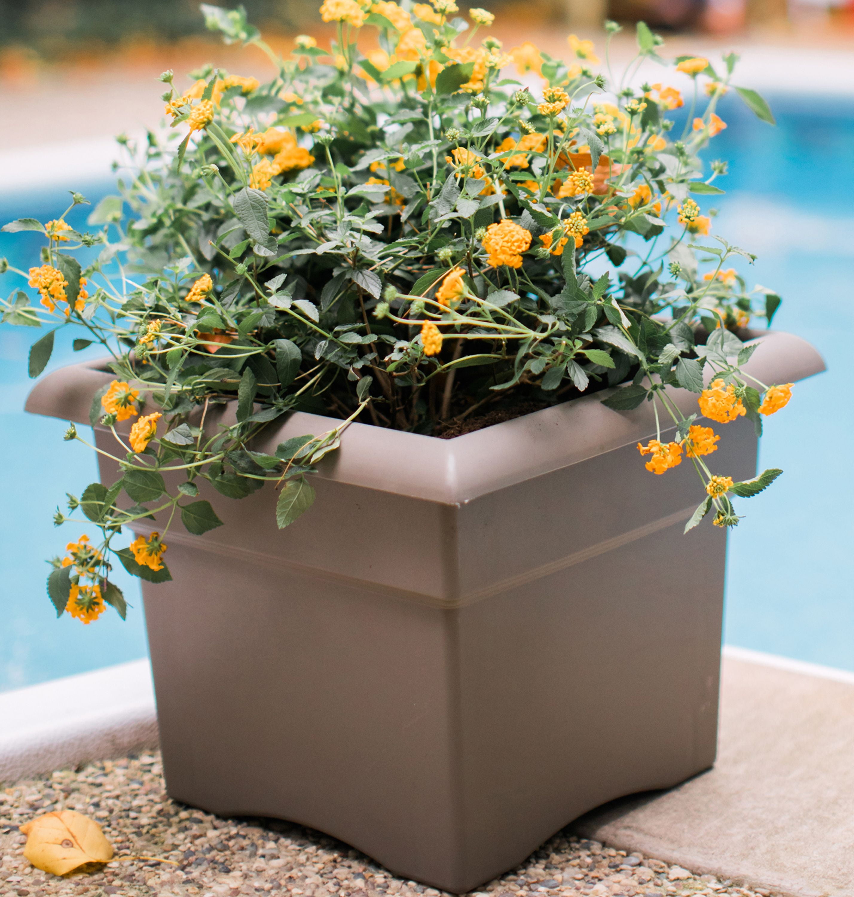 Bloem Veranda Deck Box Planter 18" Chocolate - Walmart.com