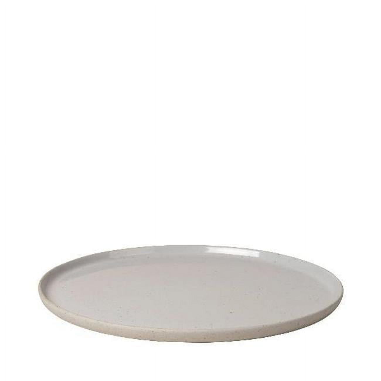Blomus 64102.4 10 in. Sablo Ceramic Stoneware Dinner Plates, Set of 4 ...