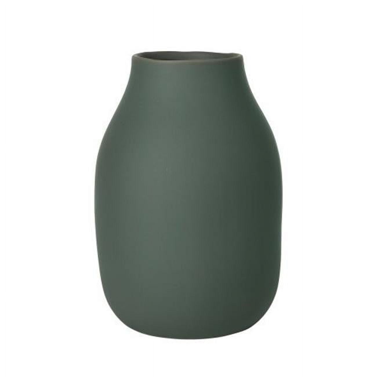 Blomus 65704 20 x 6 in. Colora Porcelain Vase, Agave Green - Walmart.com