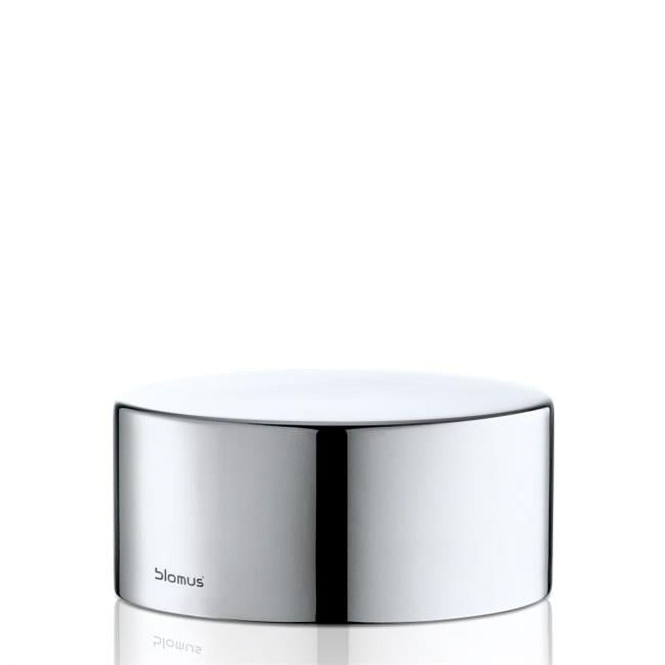 Blomus Polished Stainless Steel Cap for Torch in Polished - Walmart.com