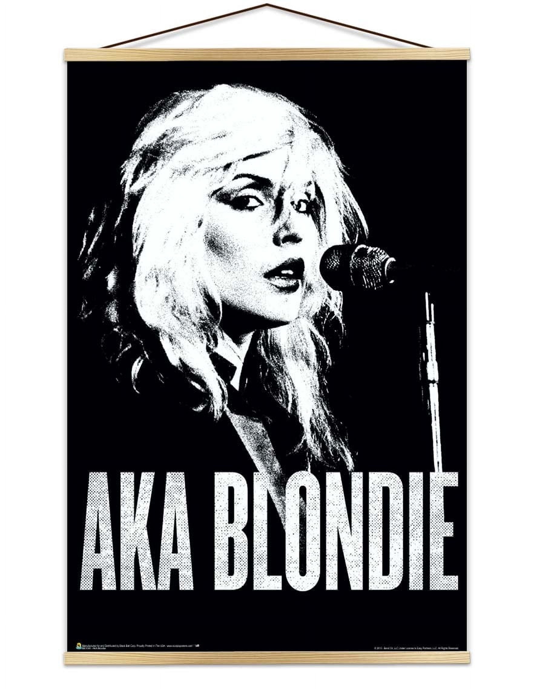 Blondie - AKA Blondie Poster - Officially Licensed - 24" x 36" with ...