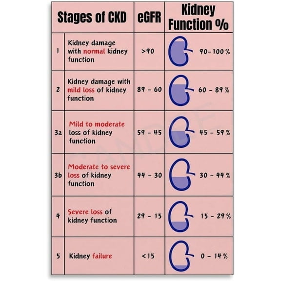 Blood Pressure Index Chart Poster Blood Pressure Range Knowledge Guide ...