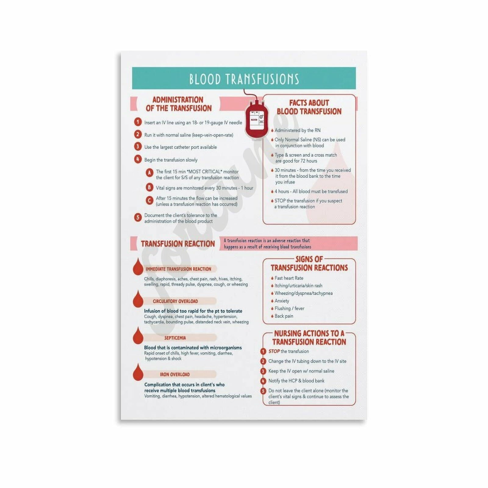 Blood Transfusion Administration Process Guide Poster Hospital Wall Art ...