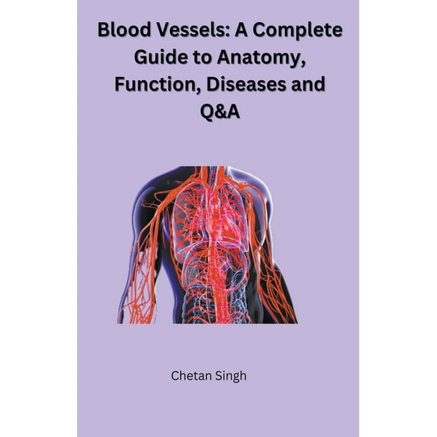 Blood Vessels : A Complete Guide to Anatomy, Function, Diseases and Q&A ...