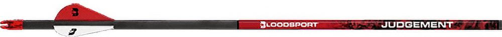 BloodSport Judgement Arrows with 2" Vane, Pack of 6 - Walmart.com