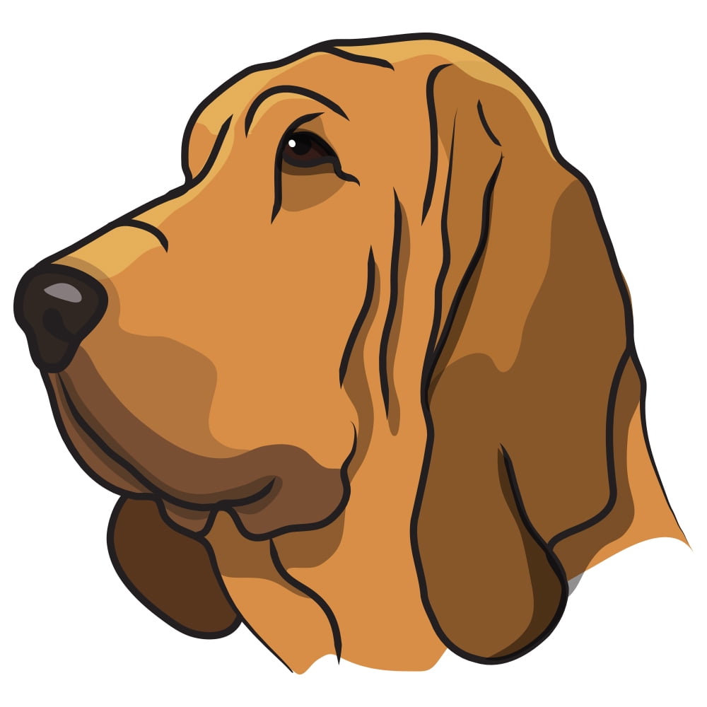 Bloodhound Decal | Indoor/Outdoor | Dog Lover Super Cute Sticker for ...