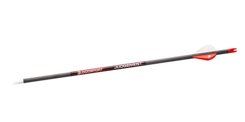 Bloodsport Judgement Hunting Arrows - 31" - 300 Spine - Walmart.com