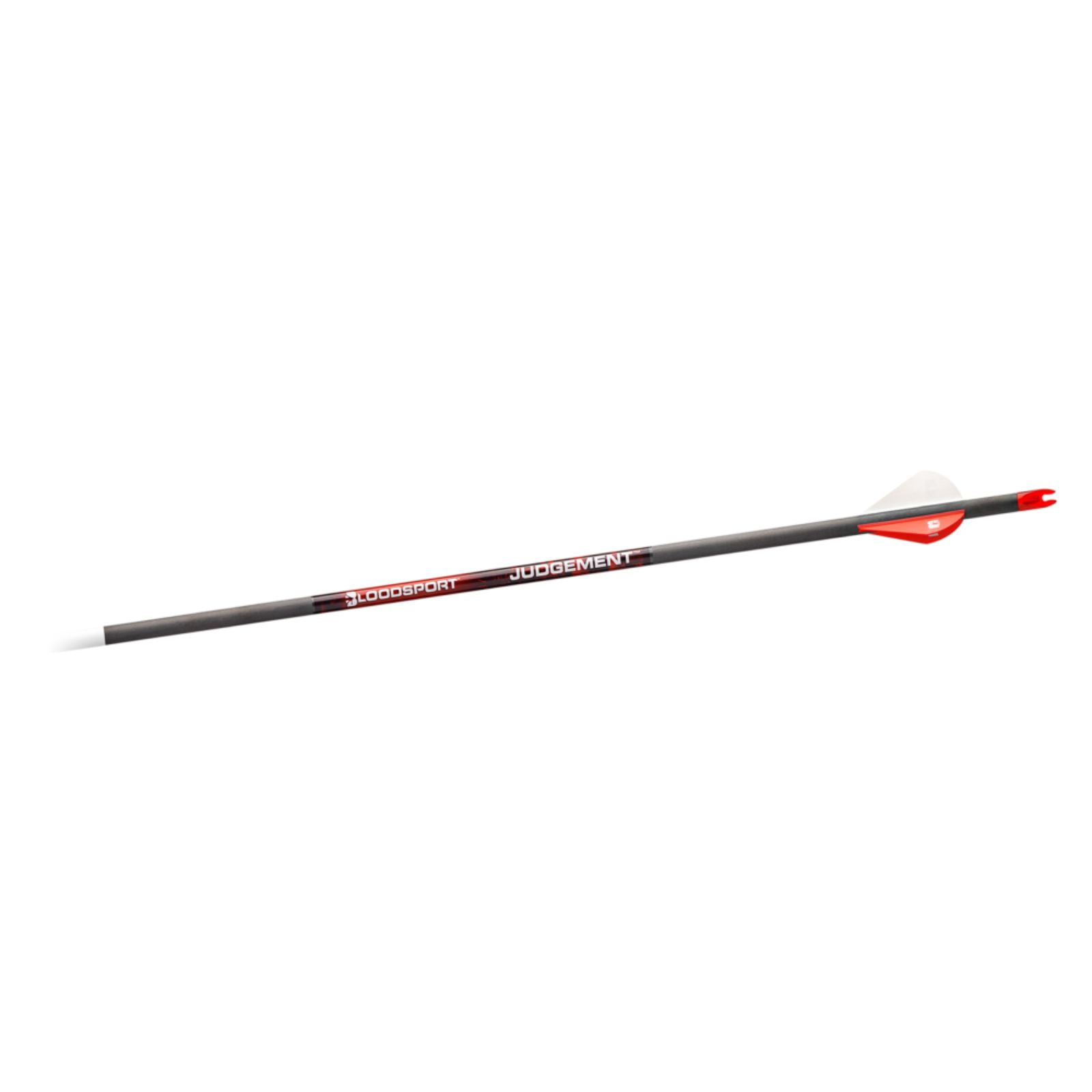 Bloodsport Judgement Hunting Arrows - 31" - 350 Spine - Walmart.com