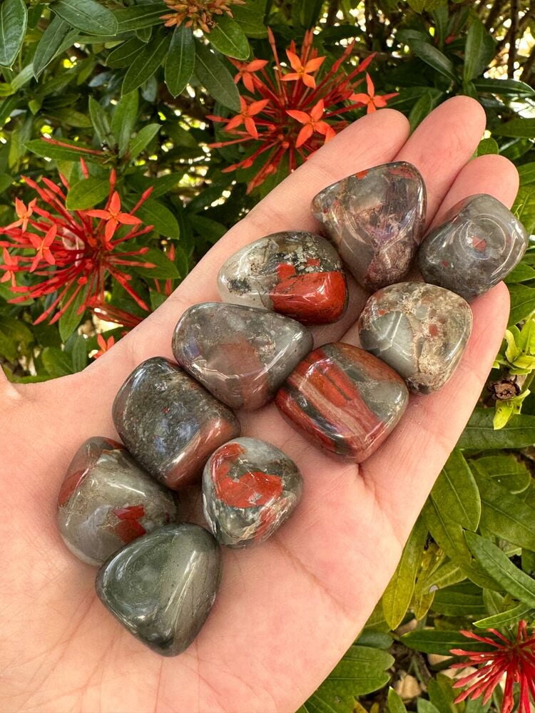 Bloodstone Tumbled Stones, 0.75-1.25" for Dispelling Fear and Anxiety ...