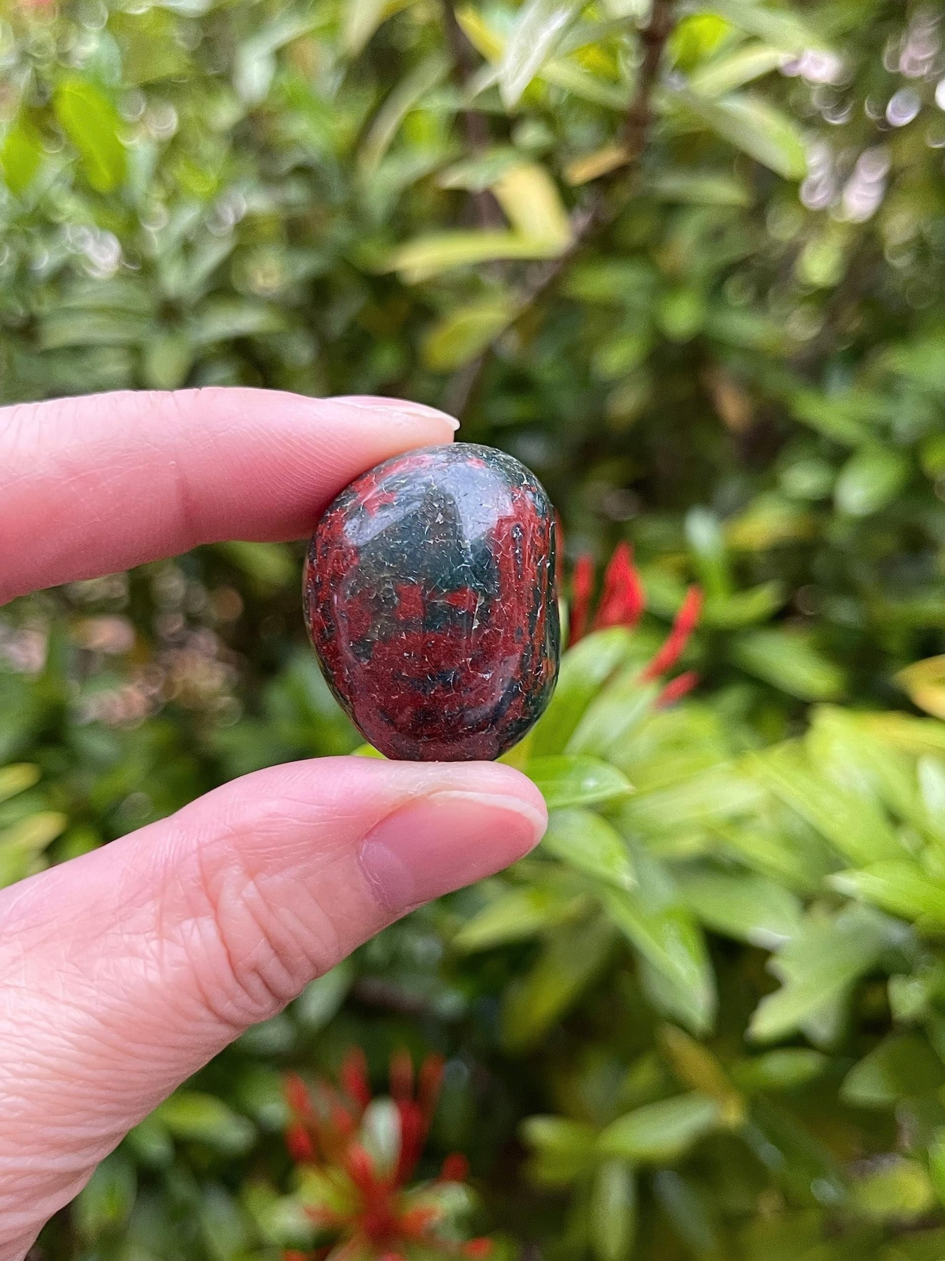 Bloodstone Tumbled Stones, Polished Natural Bloodstone Gemstone ...