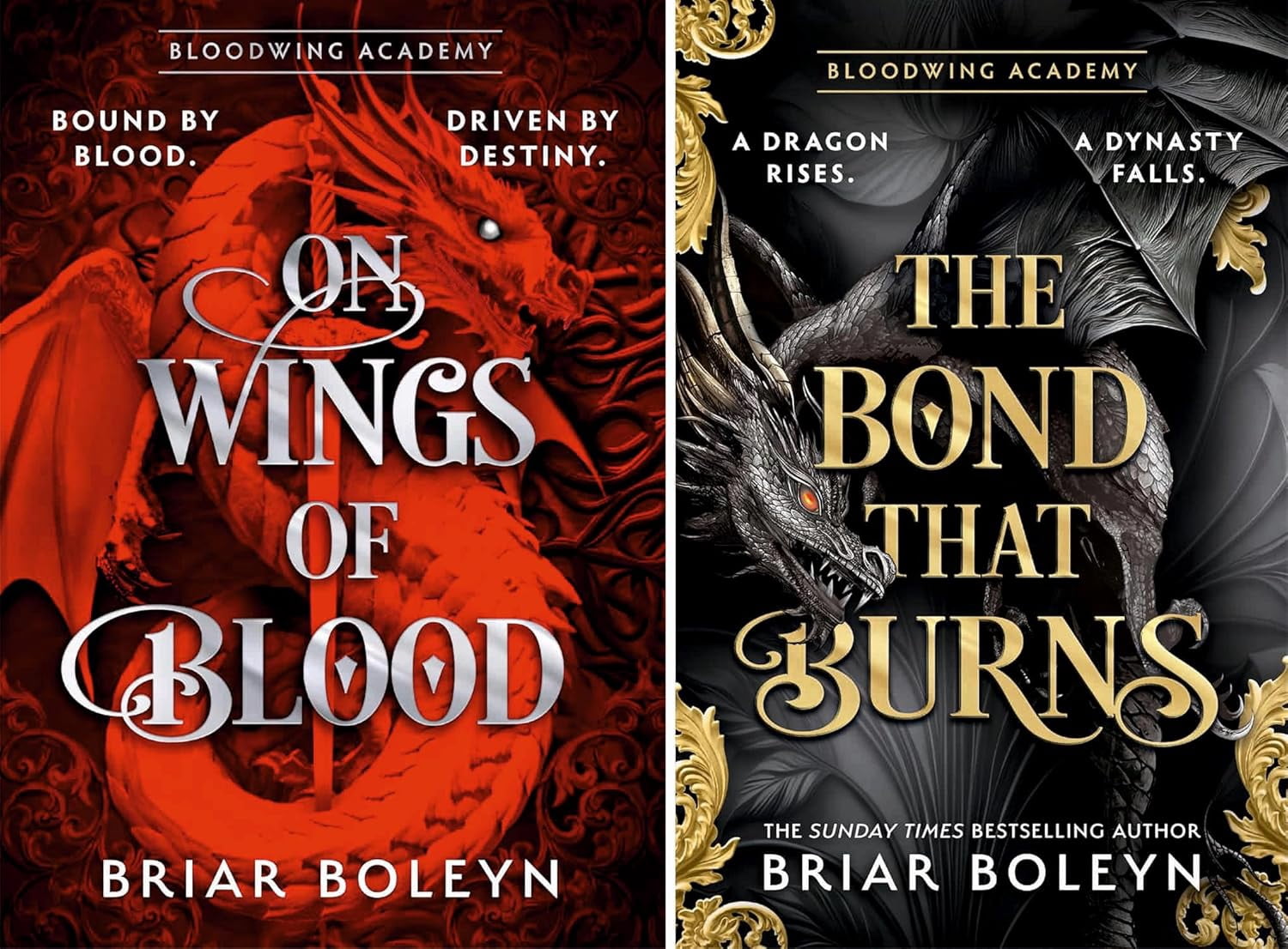 Bloodwing Academy 2 Books Set by Birgit Schwaner – The Bond That Burns & On Wings of Blood ...