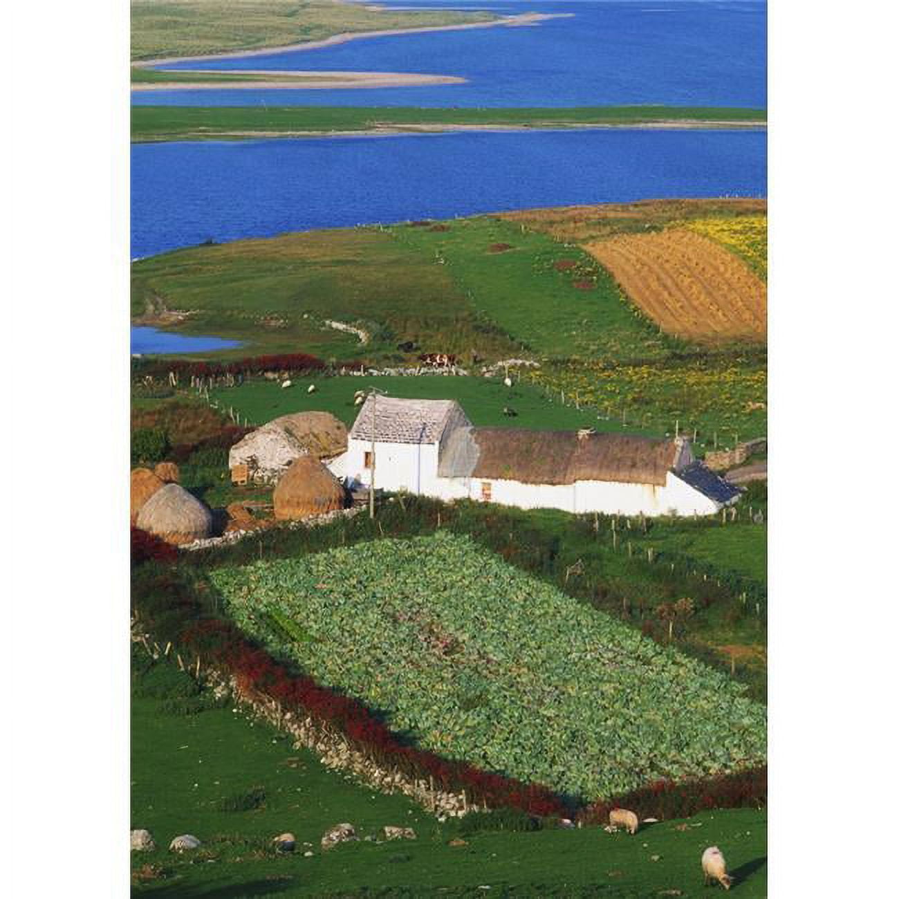 Bloody Foreland Co Donegal Ireland - Aerial View of Farm Structures ...