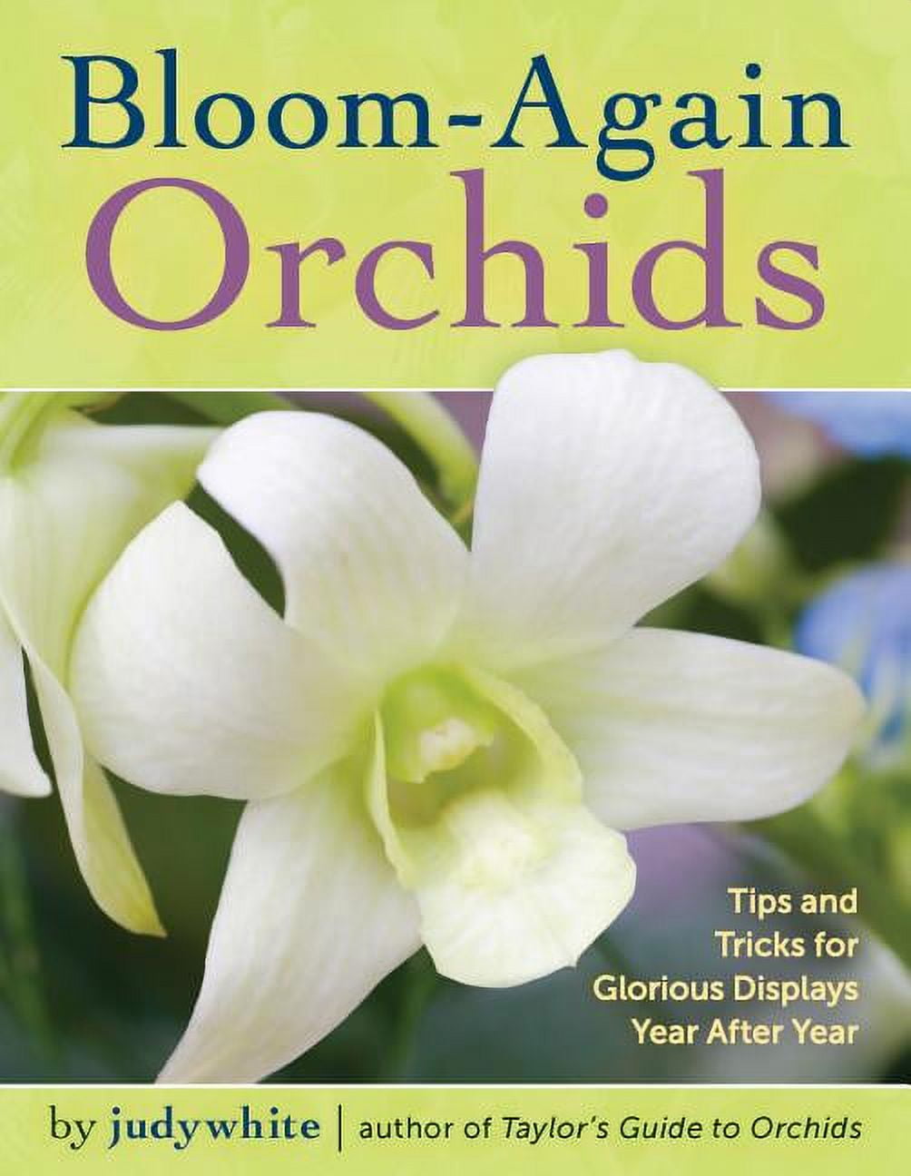 Bloom-Again Orchids - Paperback - Walmart.com
