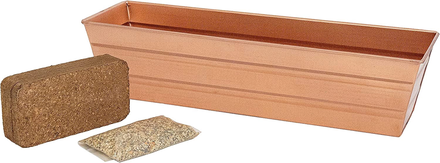 Bloom Box Garden Growing Kit Small Copper - Walmart Business Supplies