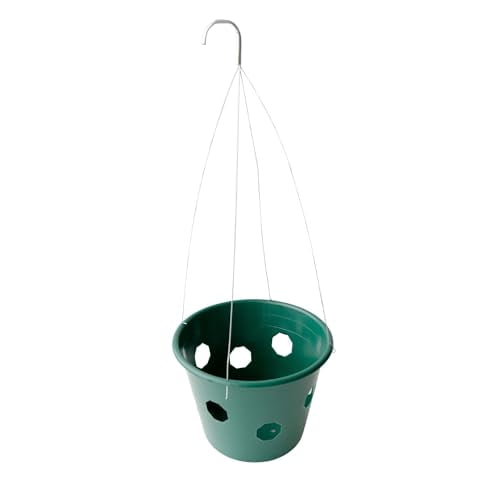 Bloom Master Hanging Baskets - 2 Gallon (1 Pack) - Hanging Planters for ...