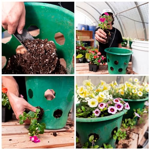 Bloom Master Hanging Baskets - 2 Gallon (3 Pack) - Hanging Planters for ...