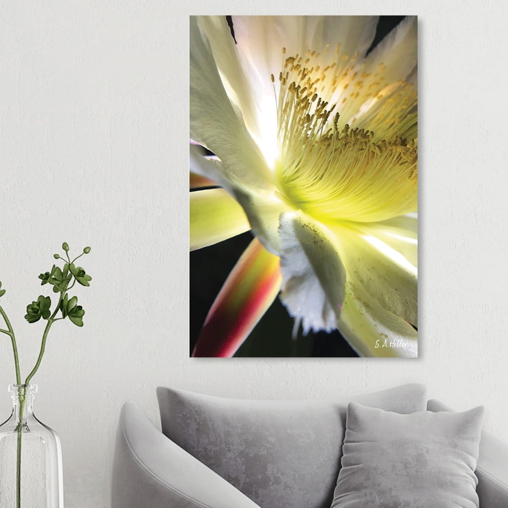 Bloom Parade By Photographer Steven A. Heller - 20"X30" Canvas ...