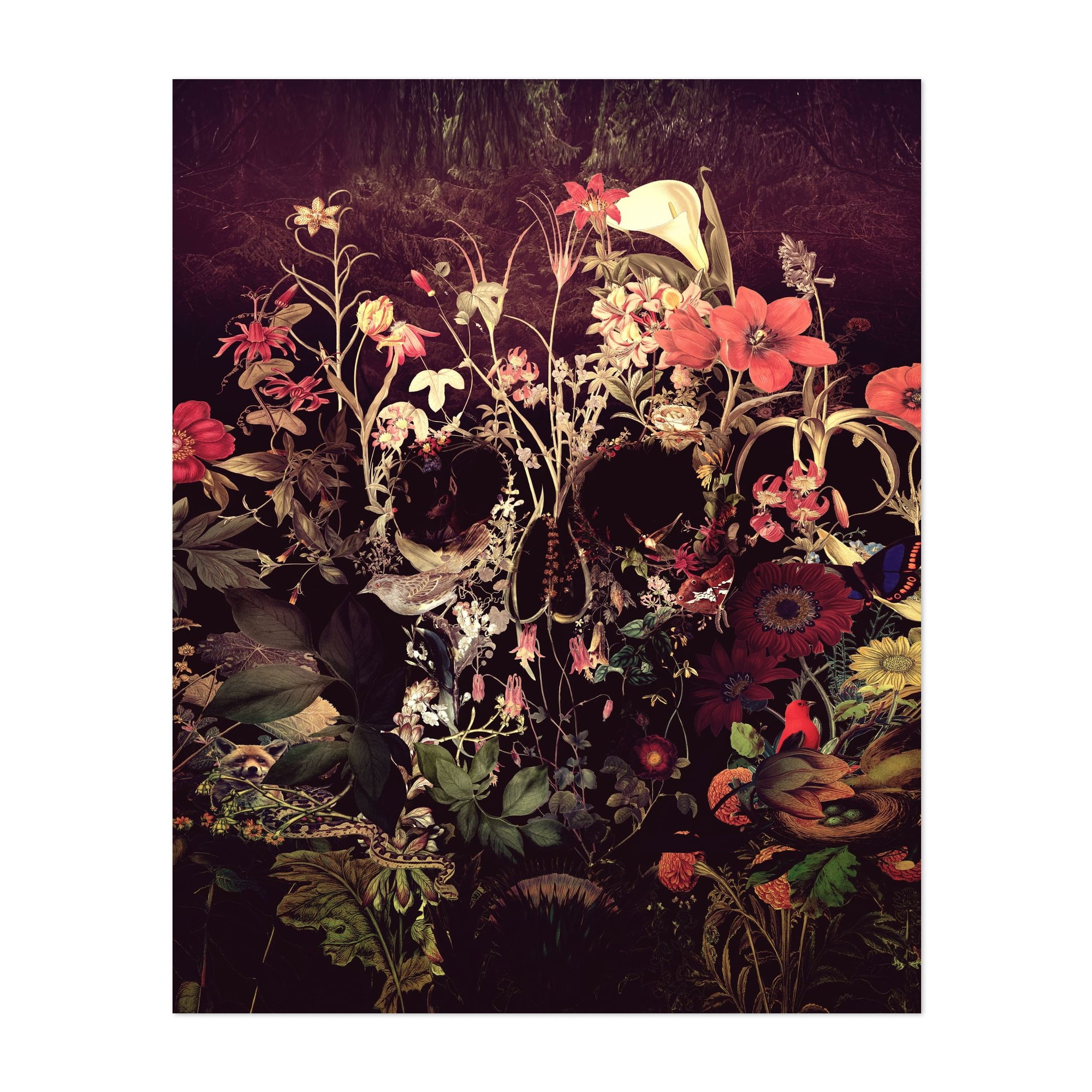 Bloom Skull - Digital Art Floral Surrealism Botanical Nature Flowers ...