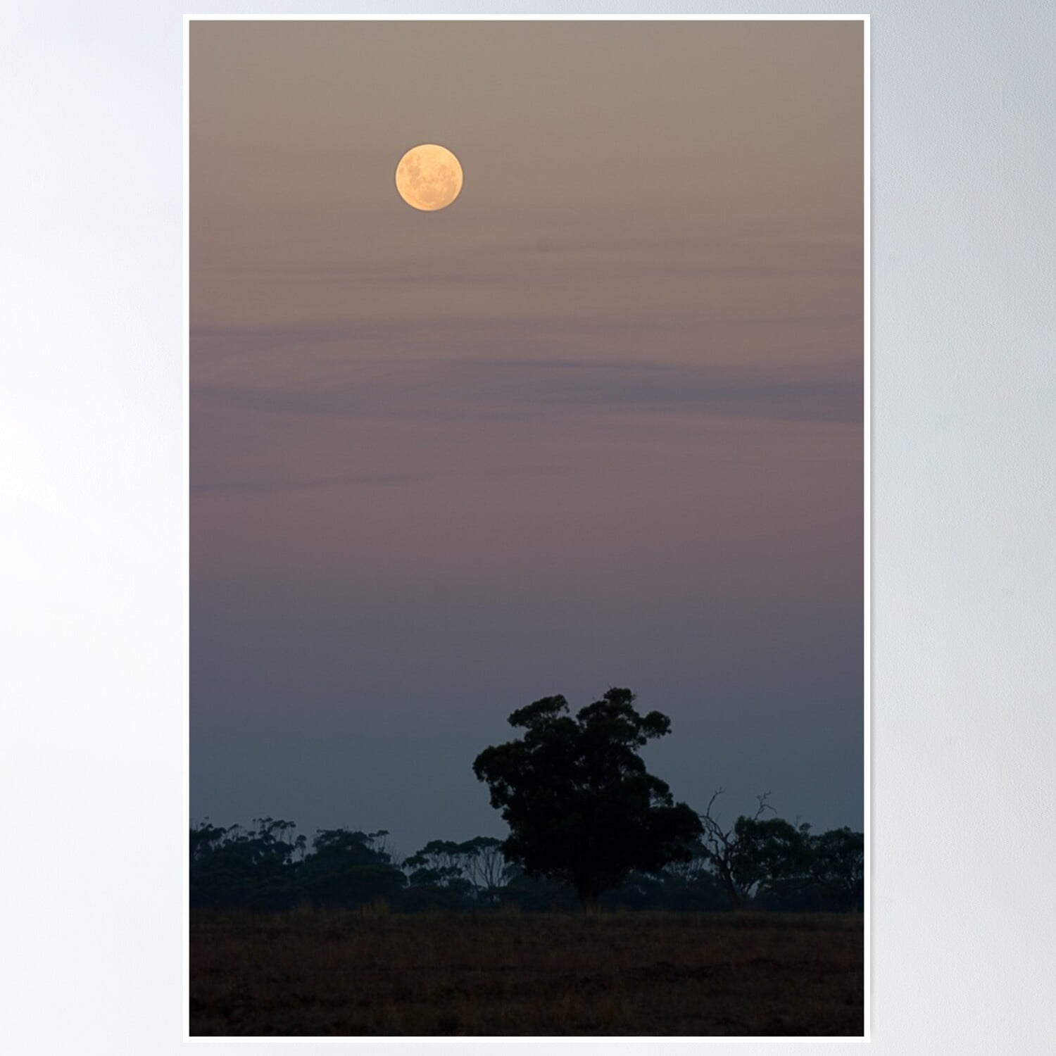Bloom Theory Big Moon Rising Poster Wall Art, Modern Wall Decor, 16x24 ...