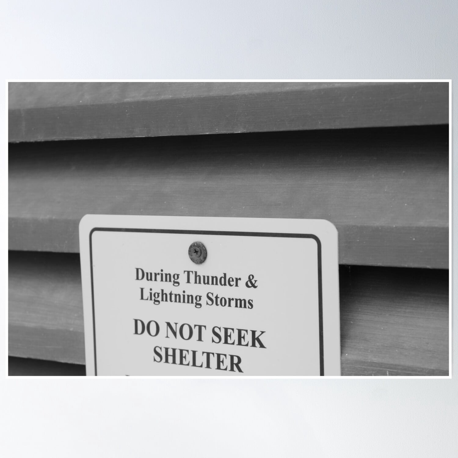 Bloom Theory Do Not Seek Shelter Poster Wall Art, Modern Wall Decor ...