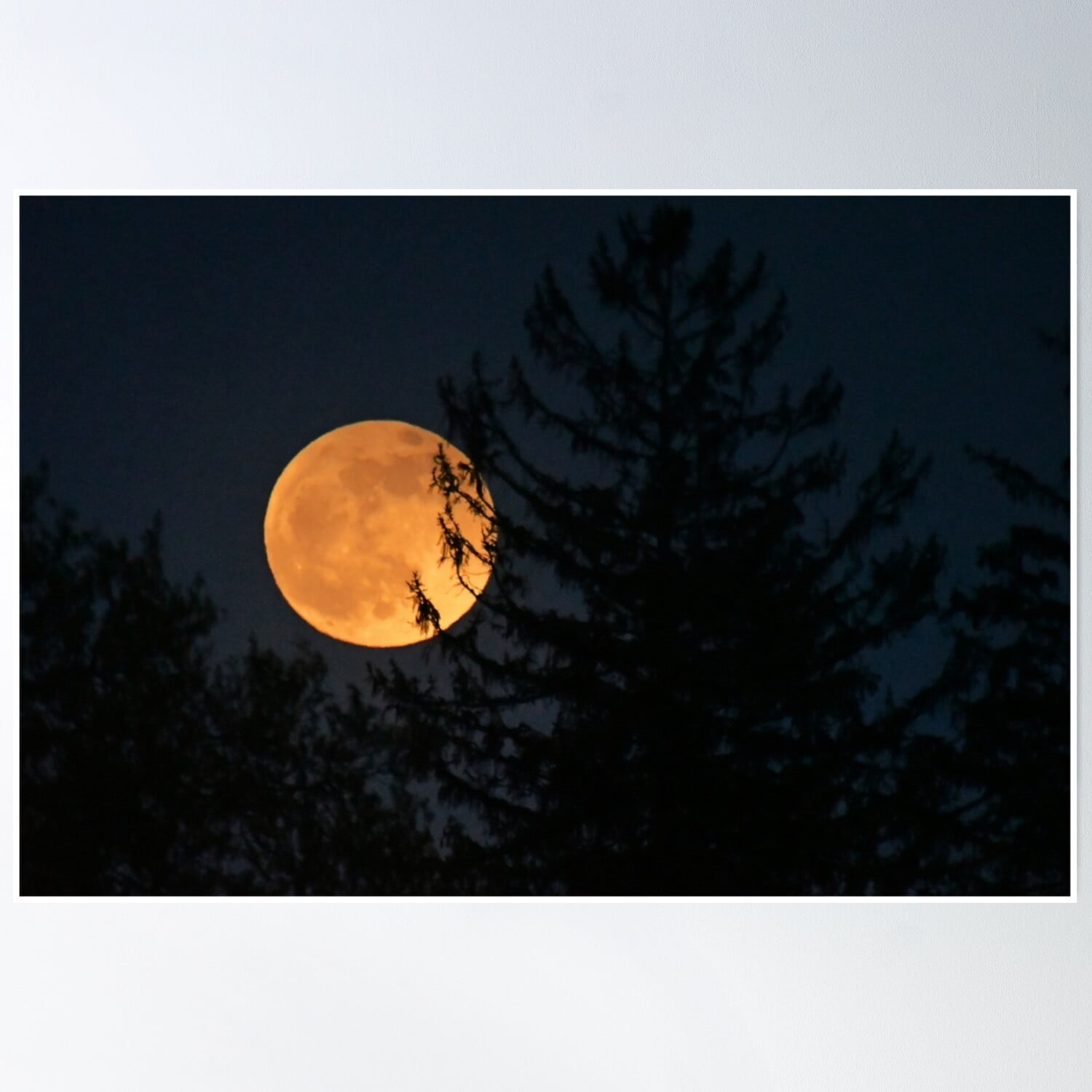 Bloom Theory Full Flower Super-Moon Poster Wall Art, Modern Wall Decor ...