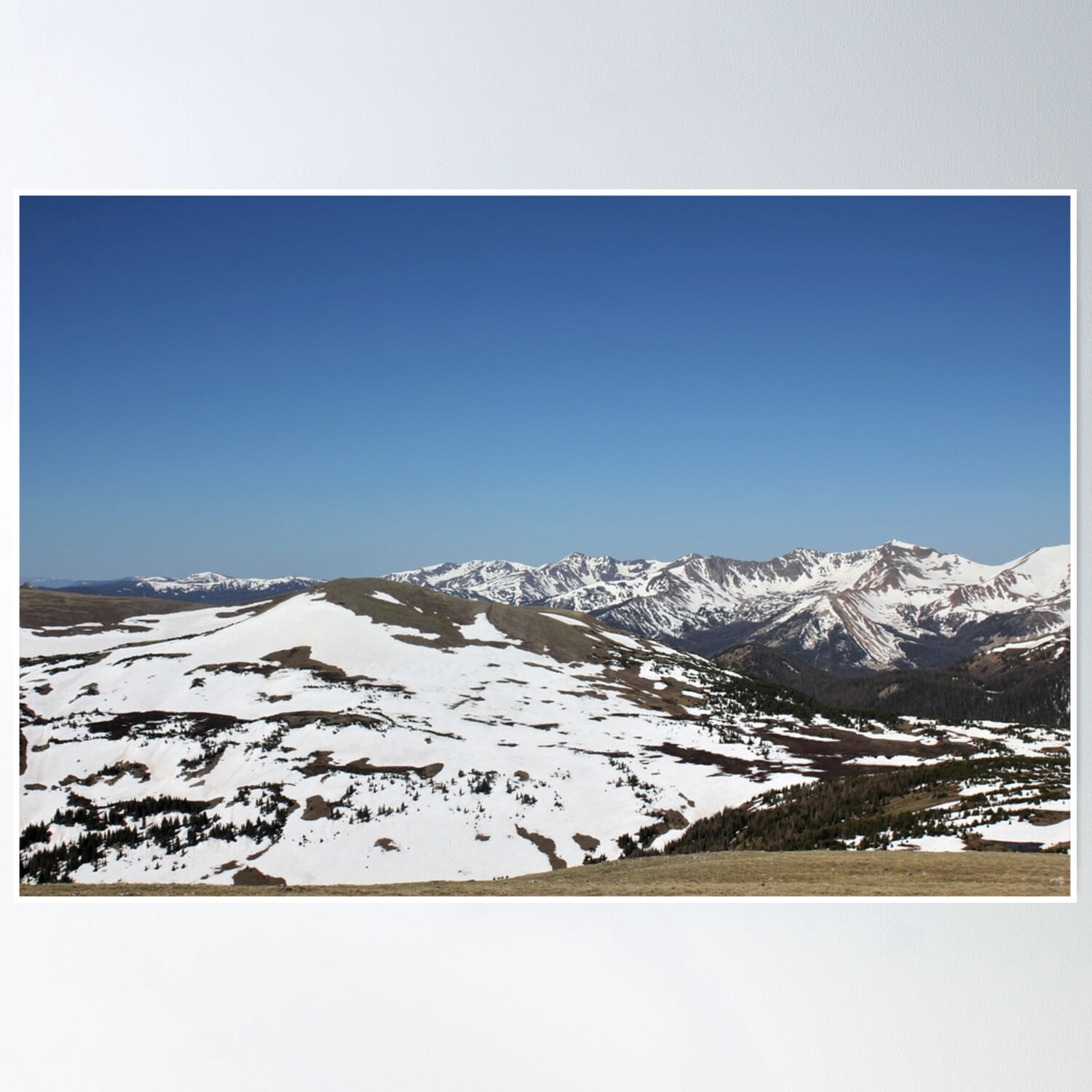 Bloom Theory Never Summer Mountains Poster Wall Art, Modern Wall Decor ...