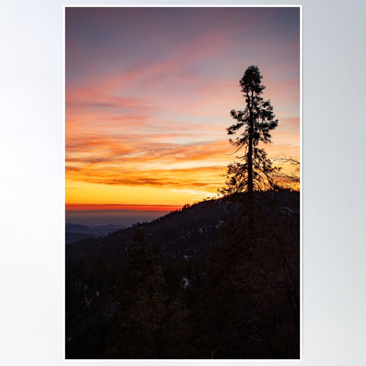 Bloom Theory Sunset Sequoia Poster Wall Art, Modern Wall Decor, 12x18 ...